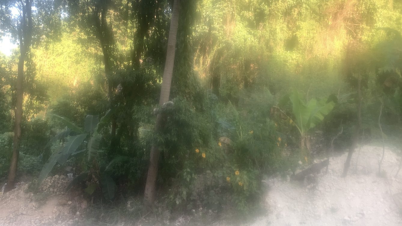 Cheap Mountain Top Land for Sale in Marlique, Petion-Ville, Haiti