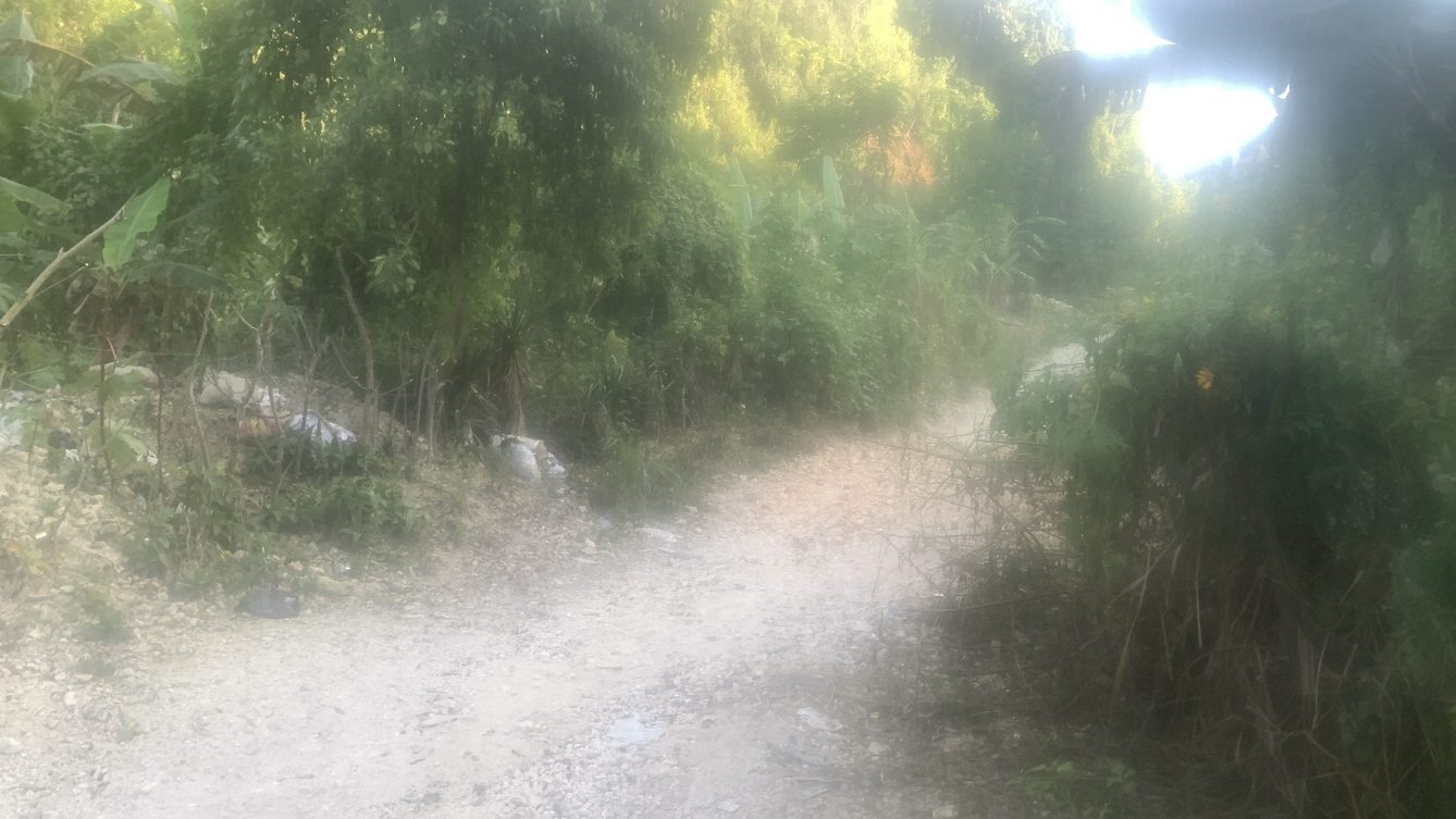 Cheap Mountain Top Land for Sale in Marlique, Petion-Ville, Haiti